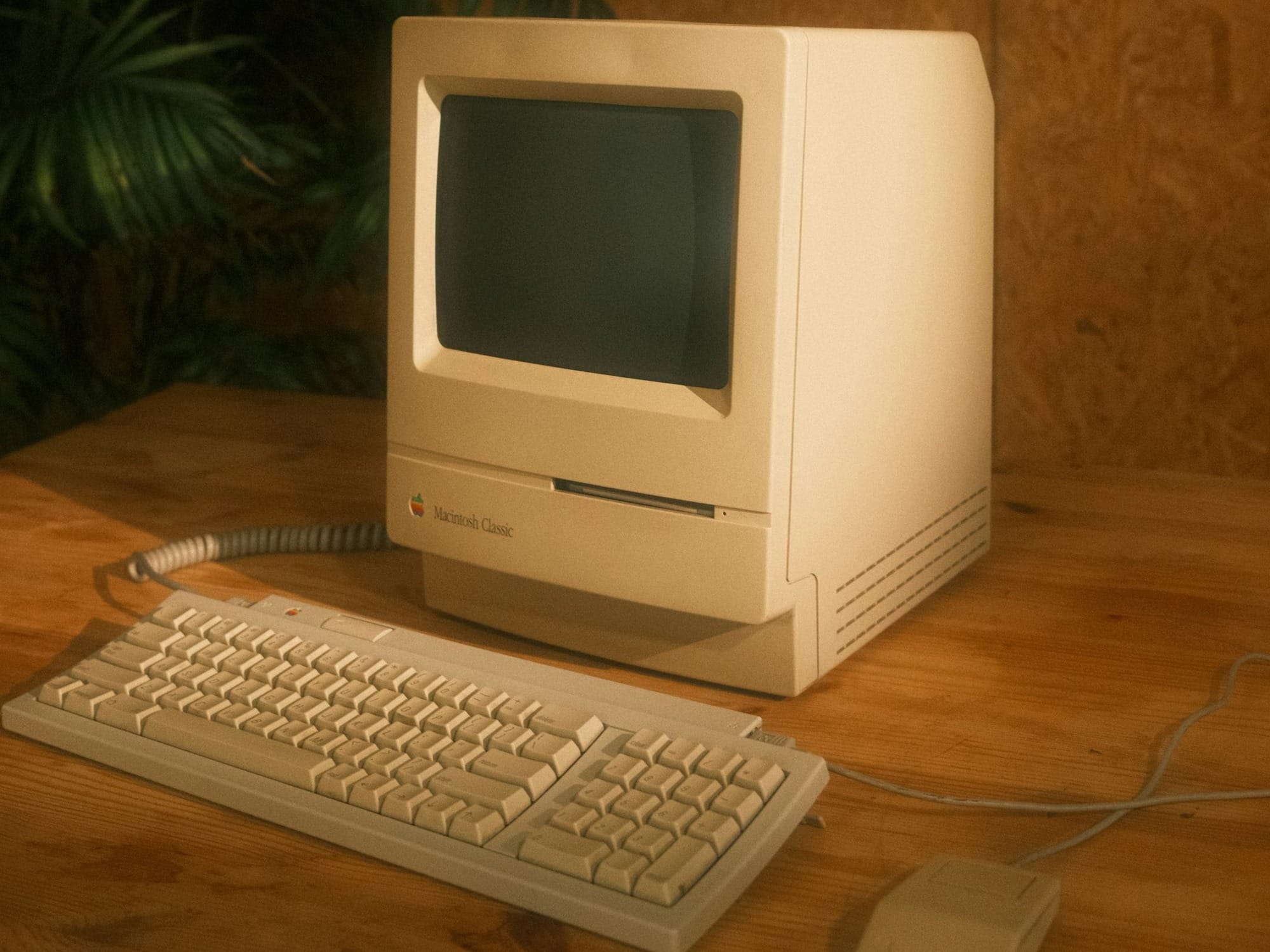 What year was the first Apple computer released for sale? | Classic Nerd