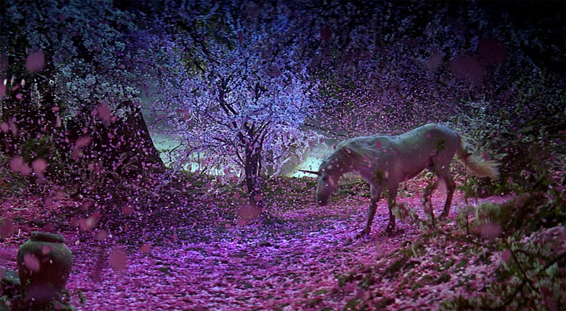 The top 10 live-action fantasy movies from the ’80s | Classic Nerd